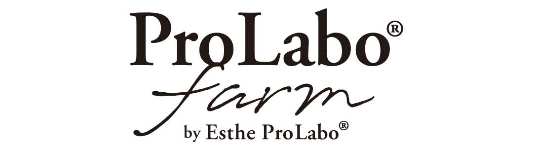 期間限定ミニセットプラン登場｜プロラボファーム
